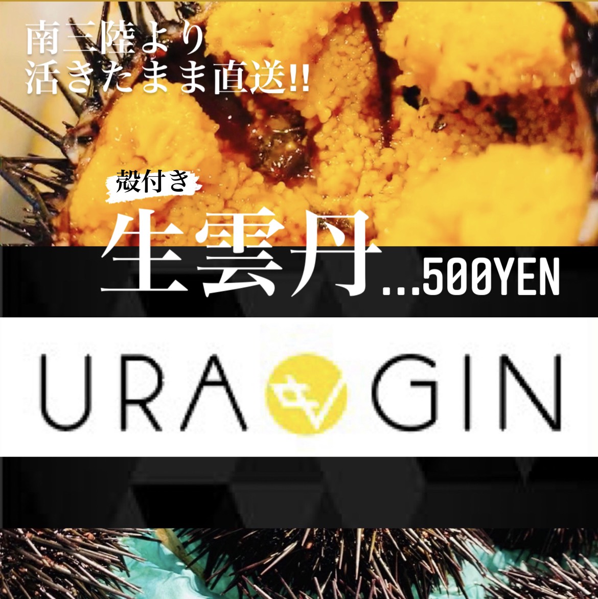 2Fに居酒屋【URAGIN】OPENしました！ | 熟成寿司 吟
